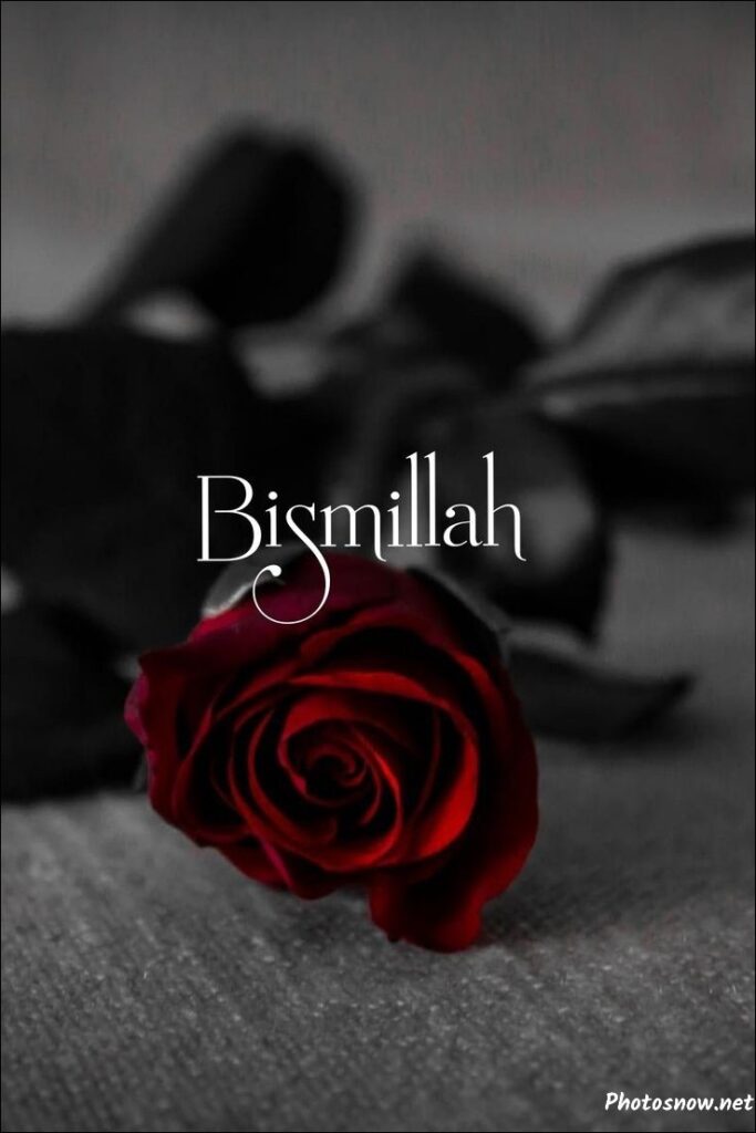 [555+] Islamic DP, Images, Photos, Pictures & Wallpapers (2025) - PhotosLy