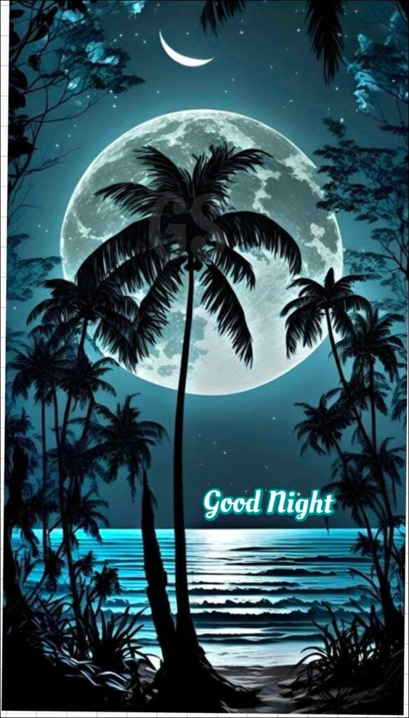 [255+] Beautiful Good Night Images, Photos & Pictures (2025) - PhotosLy