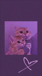 [145+] Cute DP Images, Photos, Pictures & Wallpapers - PhotosLy