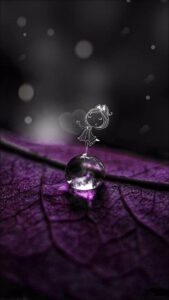 [145+] Cute DP Images, Photos, Pictures & Wallpapers - PhotosLy