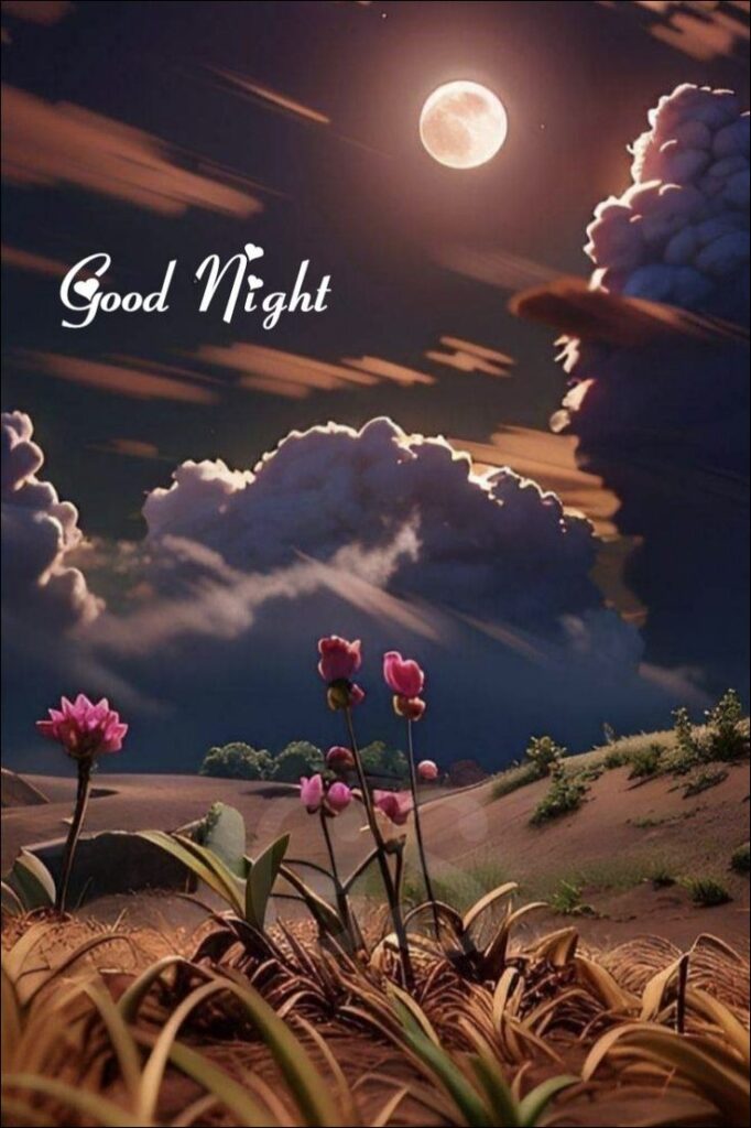 [255+] Beautiful Good Night Images, Photos & Pictures (2025) - PhotosLy