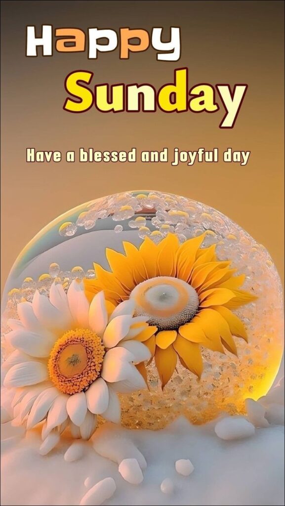 [555+] Happy Sunday Images, Photos, Pictures - PhotosLy